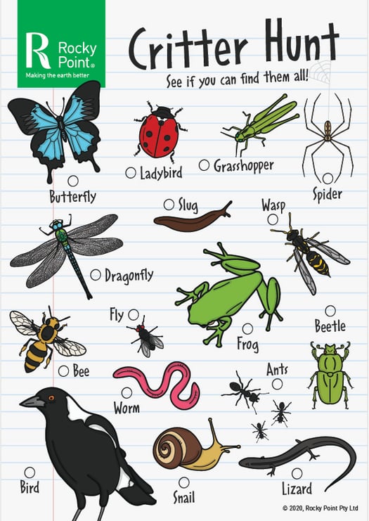 Go on a backyard critter hunt!